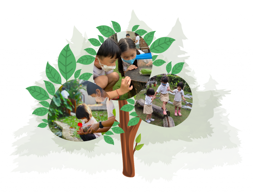 Our Culture – Tree House